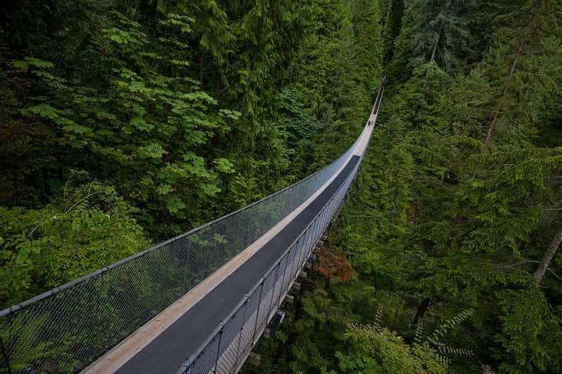 7 Lesser Known Capilano Suspension Bridge Facts - Icy Canada