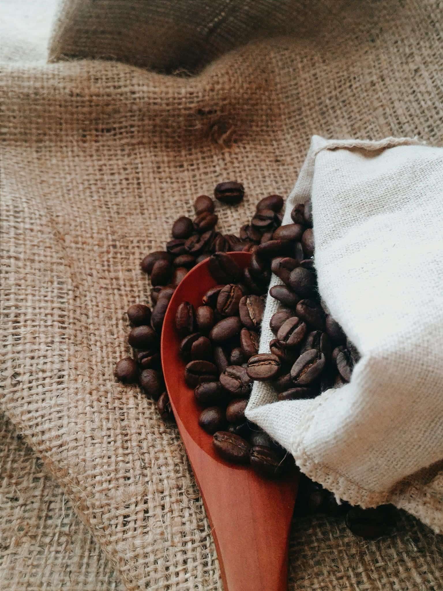 Toronto Cafes: 10 Best Coffee Shops In Toronto To Go To