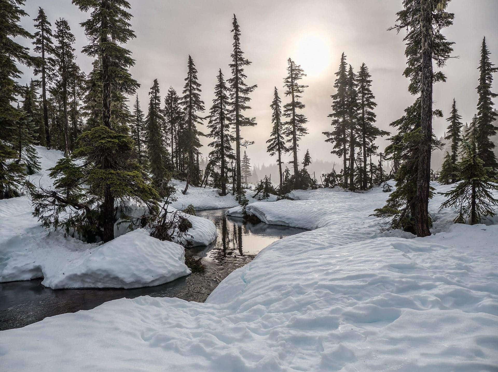 8 Northmost City In Canada: A Complete Amazing Guide